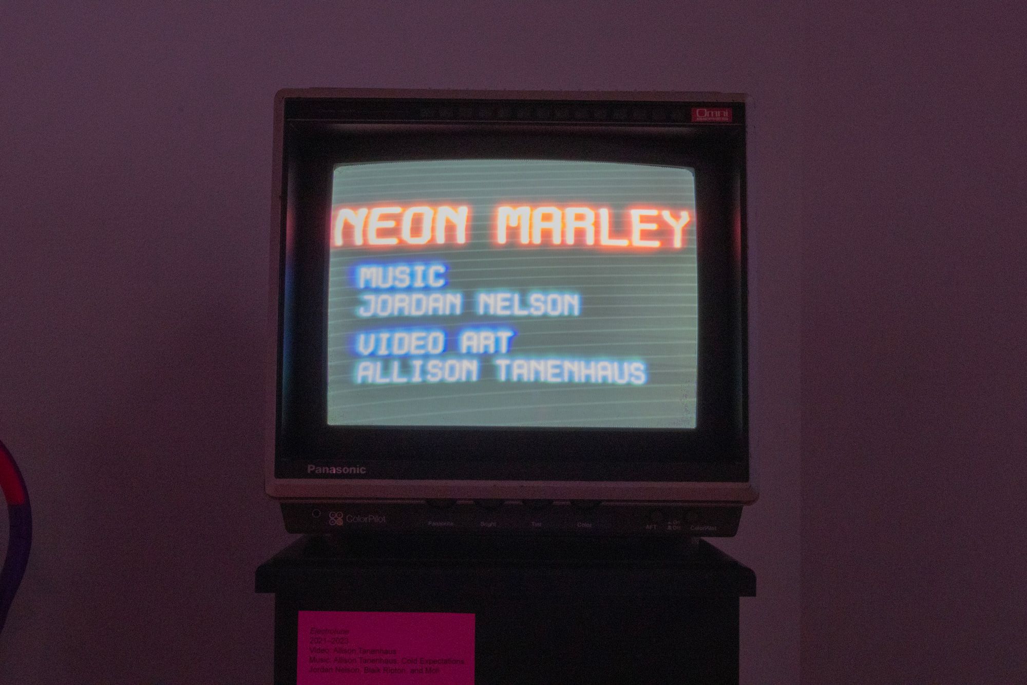 GlitchKraft: An Interview with Allison Tanenhaus : Blog : Trustman Art ...